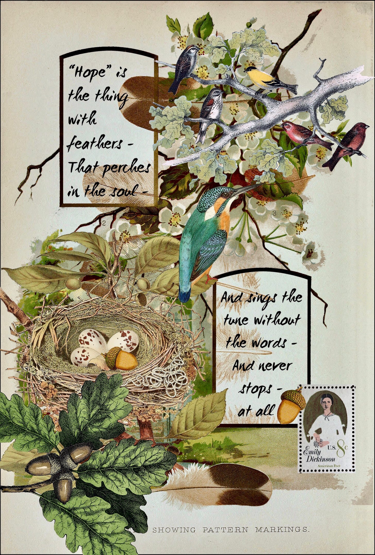 The Order of the Acorn - by Dr Rachel Claire Morris