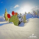 Afrikya Stories | Khalil Gdoura | Substack