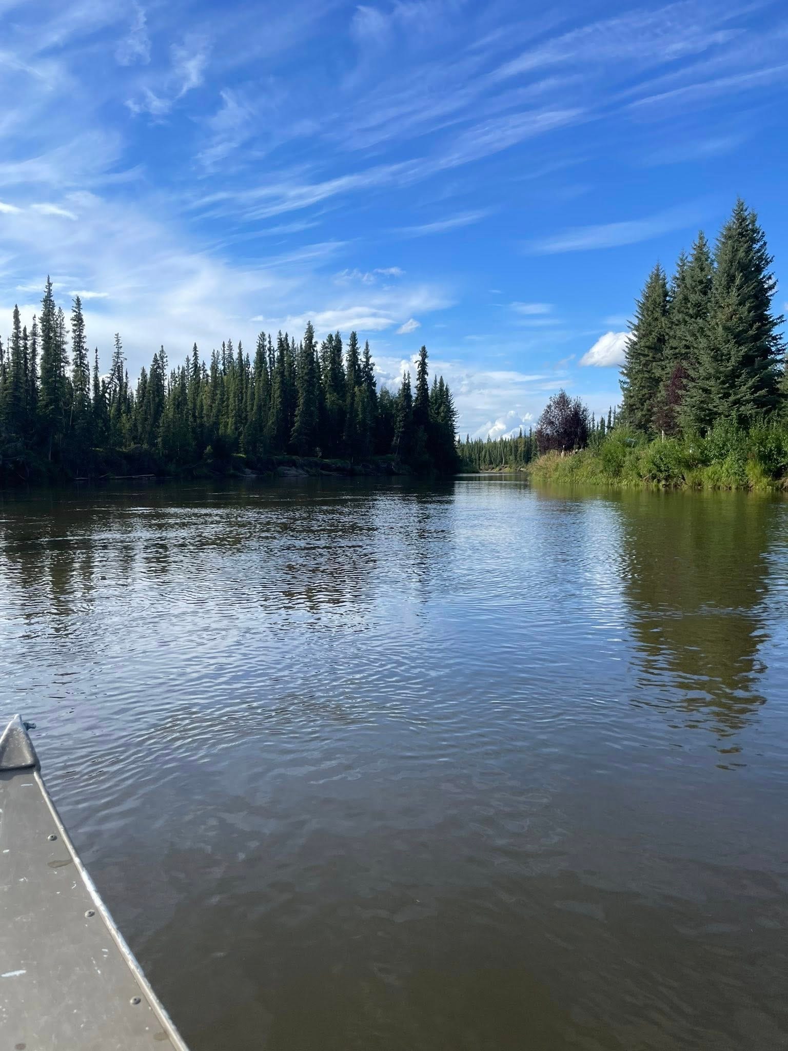From Gold Dust to Grayling: The Many Faces of the Chena