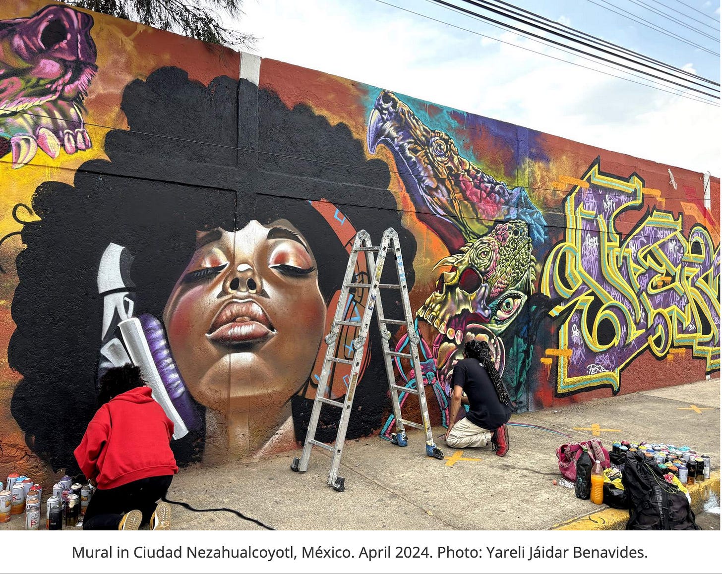 The Complexities of Racism: Comparing Mexico and the U.S. for People of ...