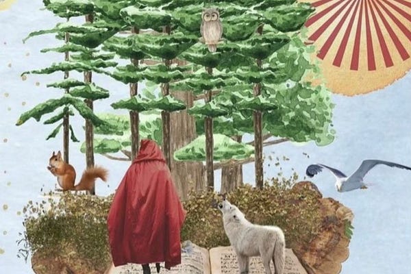 sarah wilson substack