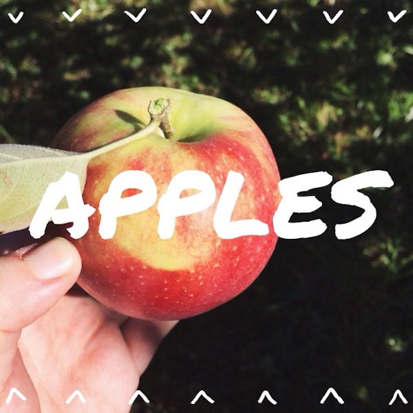 Stories: Apple Picking - Your Story Matters by rukristin