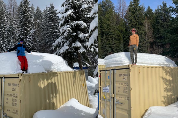 Wild Life with Amy Jay | Substack