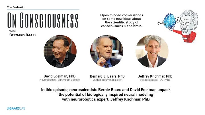 #6 — The Potential of Biologically Inspired Neural Modeling with ...