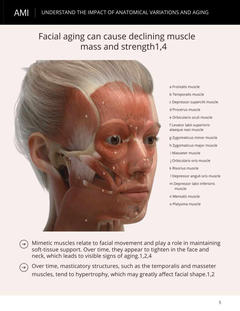 Understanding Facial Aging: Structural Changes That Shape the Aging Face
