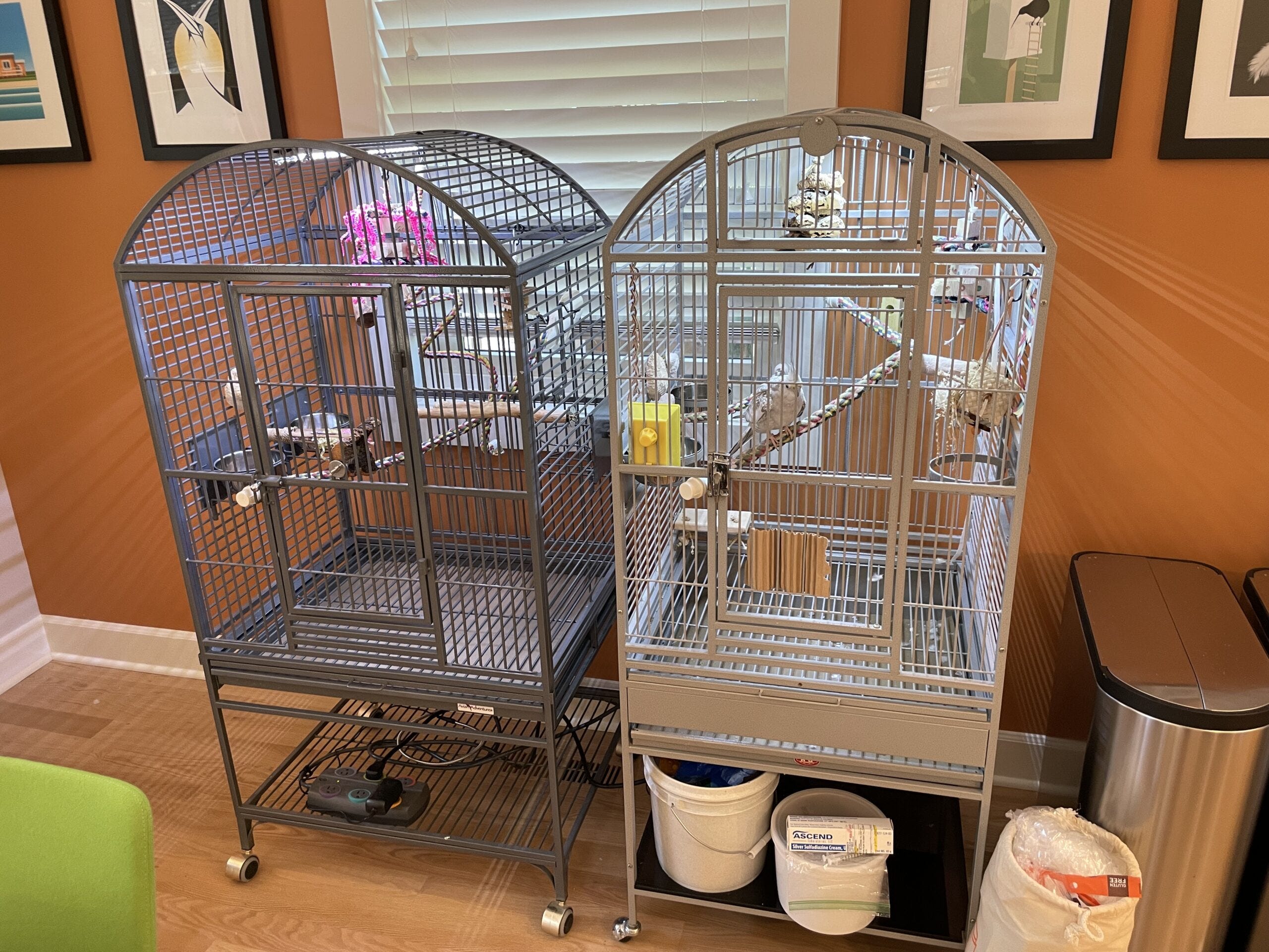 Interior lighting for parrot cages