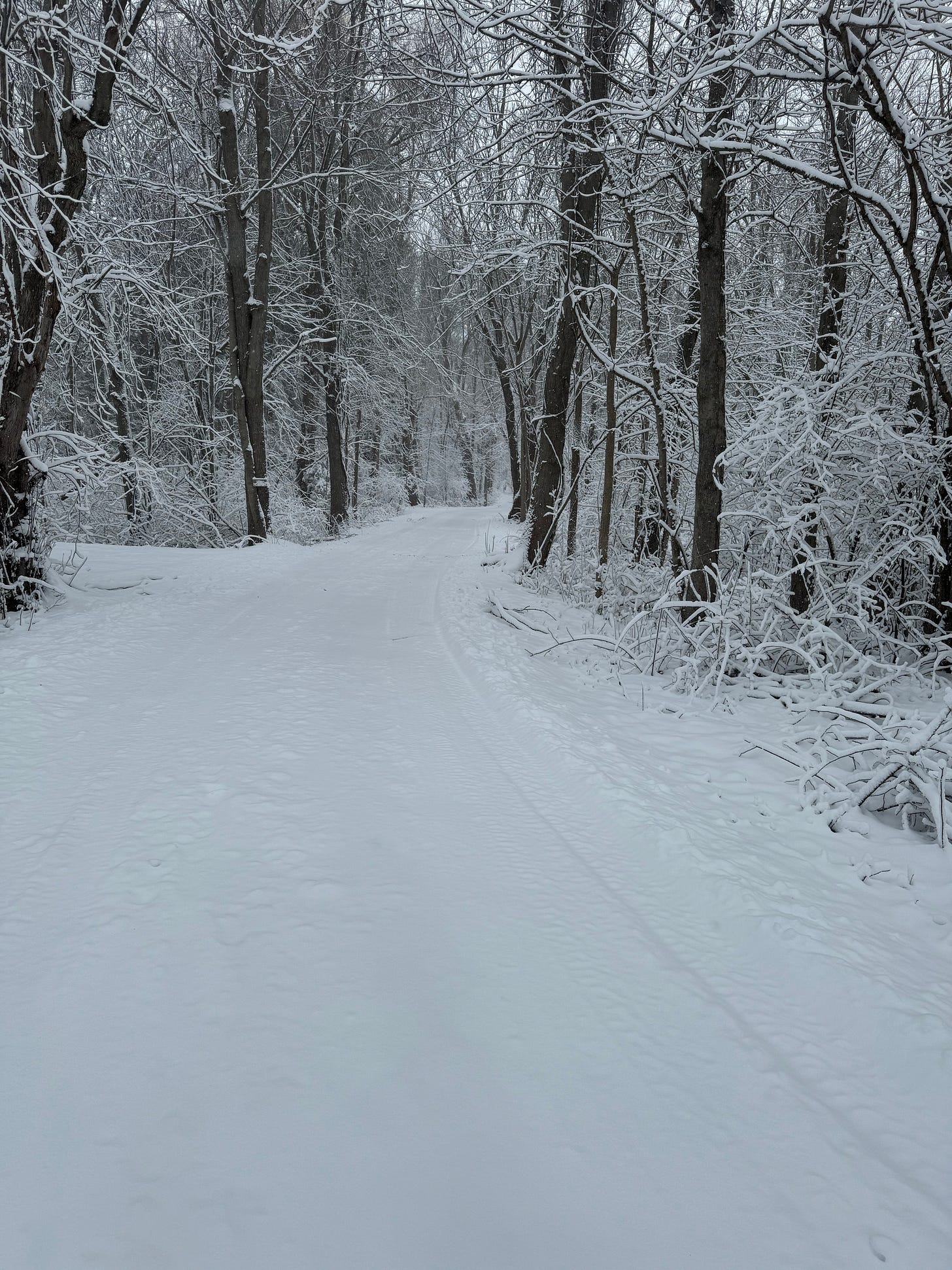 VIDEO POD AND ESSAY: ESTRANGEMENT EPIDEMIC - THE END OF FAMILY LIFE?