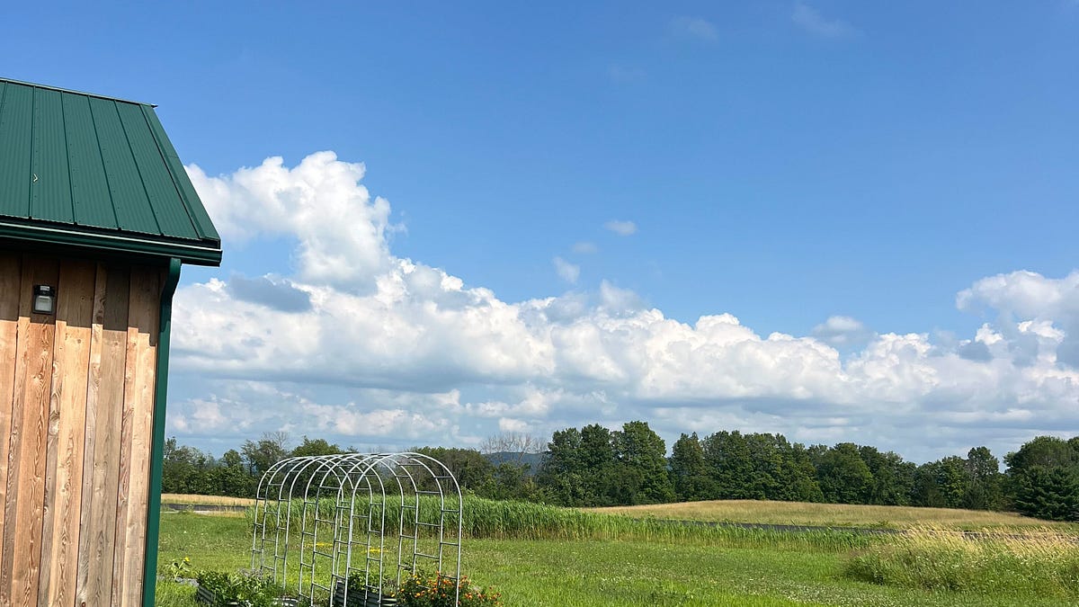 Buying land with a USDA loan: ALL of your different options, explained