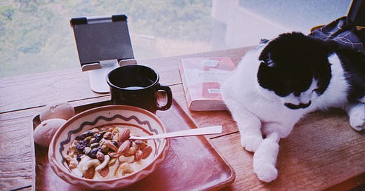 Denise Ho - 何韻詩 | Hocc | Substack