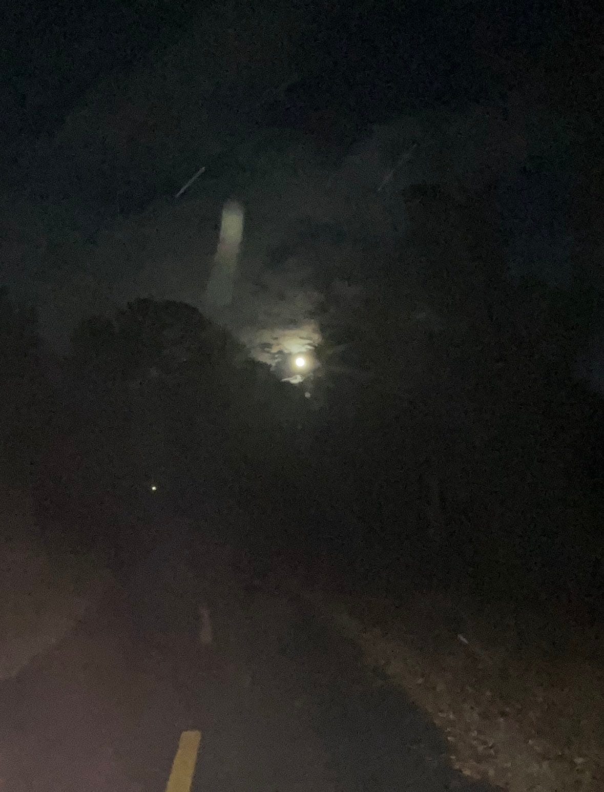 Hamster Cage - by Venus - fictiongoneferal