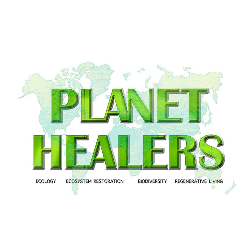Planet Healers | Substack