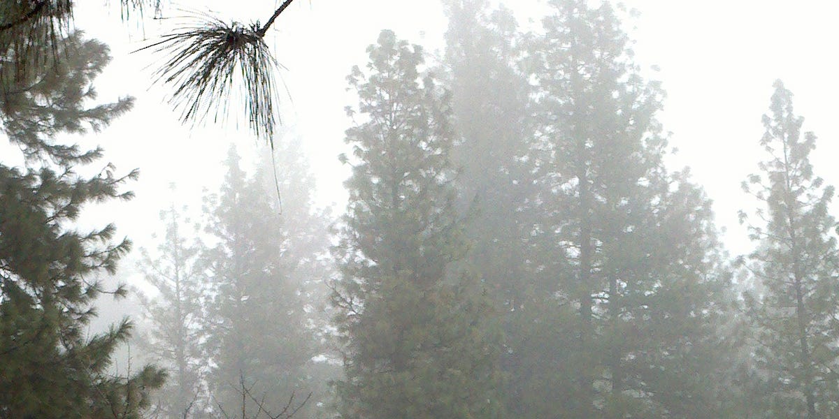 Manipulation - by Athena Walker - Eye of the Storm