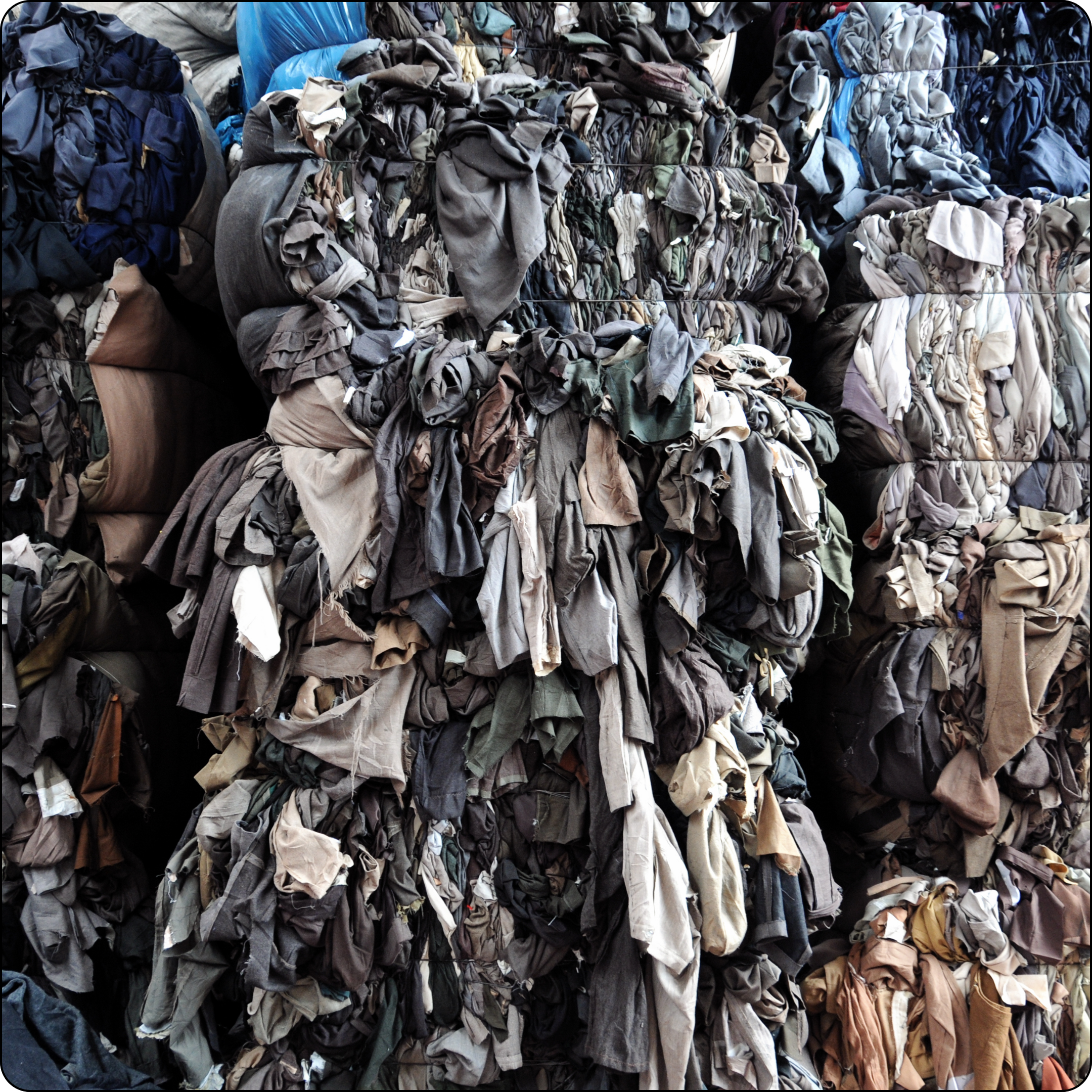 What We Got Right About Sustainable Fashion in 2025