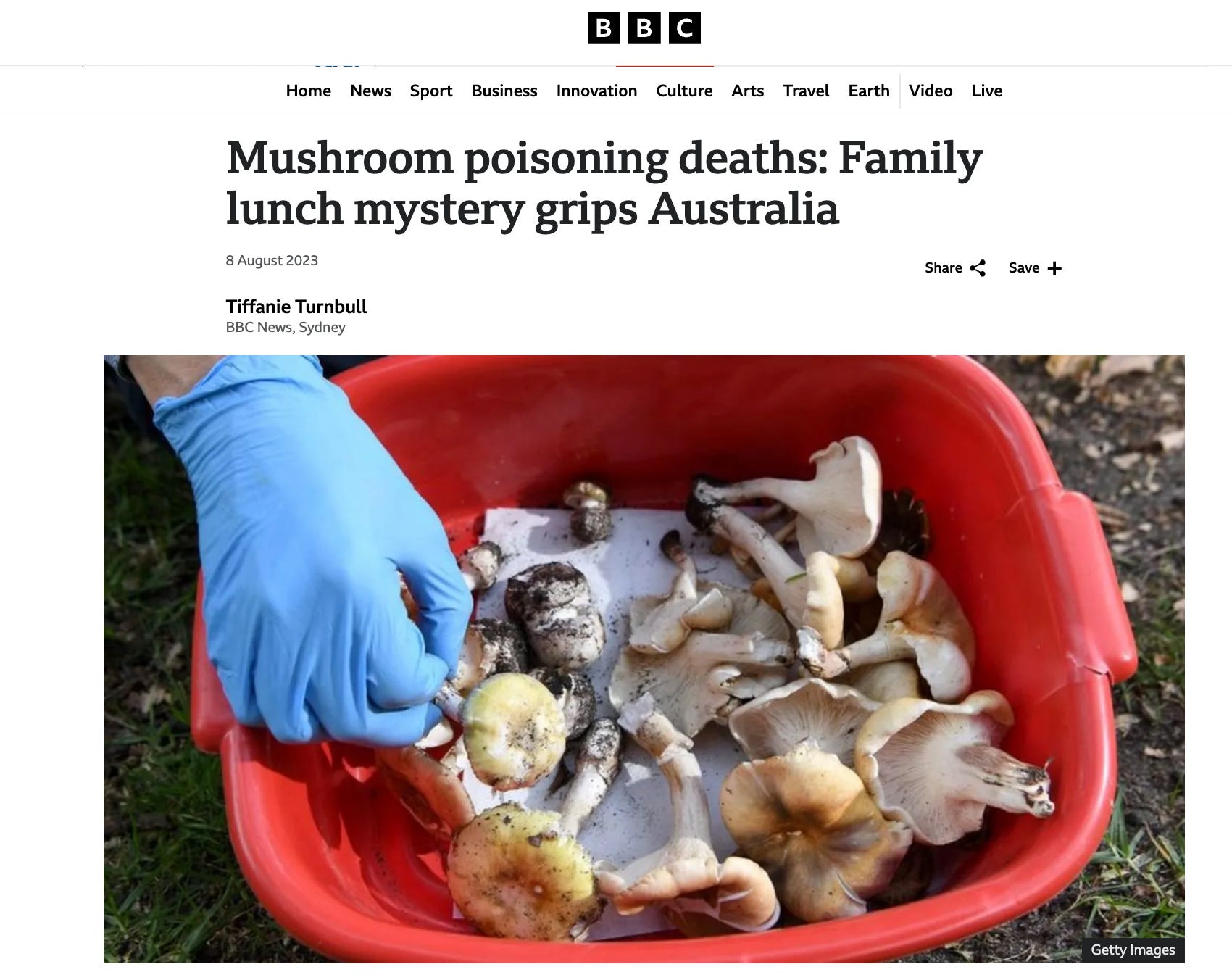 Mycophobia: Why We Fear What We Don’t Understand 🍄