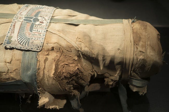 The Curious Case of Egypt's Cocaine Mummies
