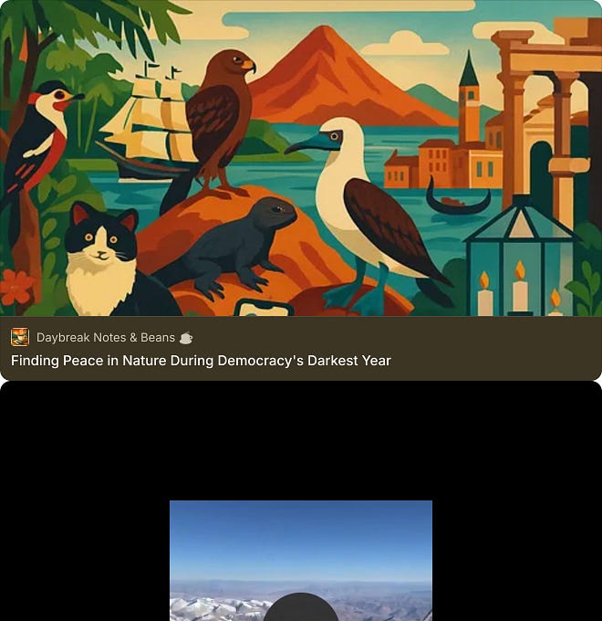 Alexander Verbeek (@theplanet): "The incredible 360 degree view from ...