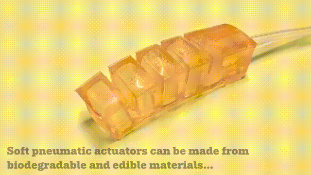 World’s First Fully Edible Robot - by Meng Li - RoboPub