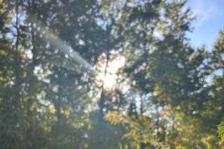 Courageous Connections | Kelli Lynn Martin | Substack