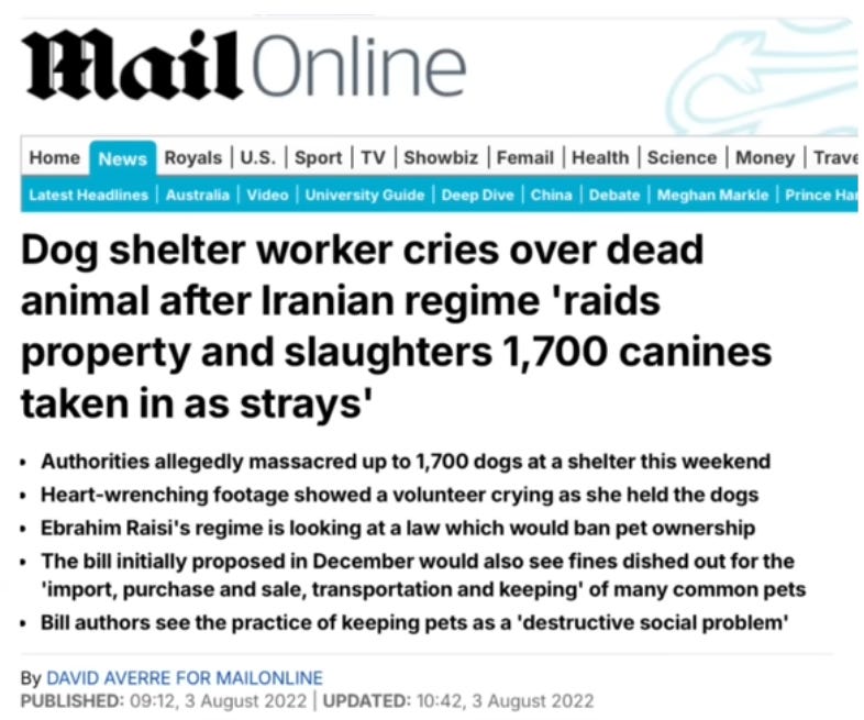 Why does Islam hate dogs?