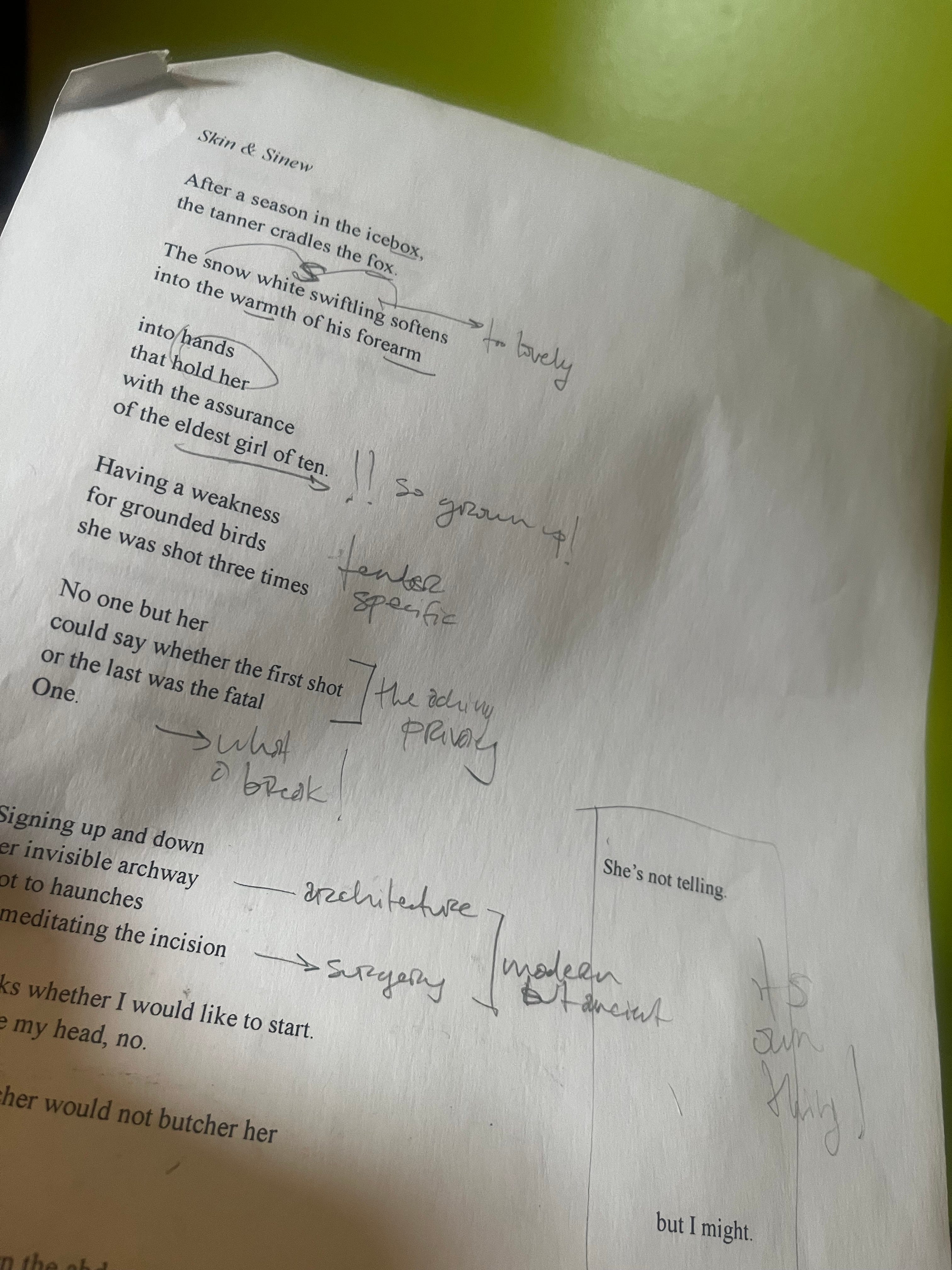 On "Skin & Sinew" - by Matthew Stillman - stillman says