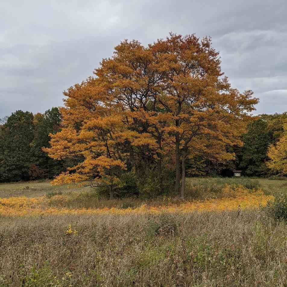 80+ Hiking Trails Around Rochester