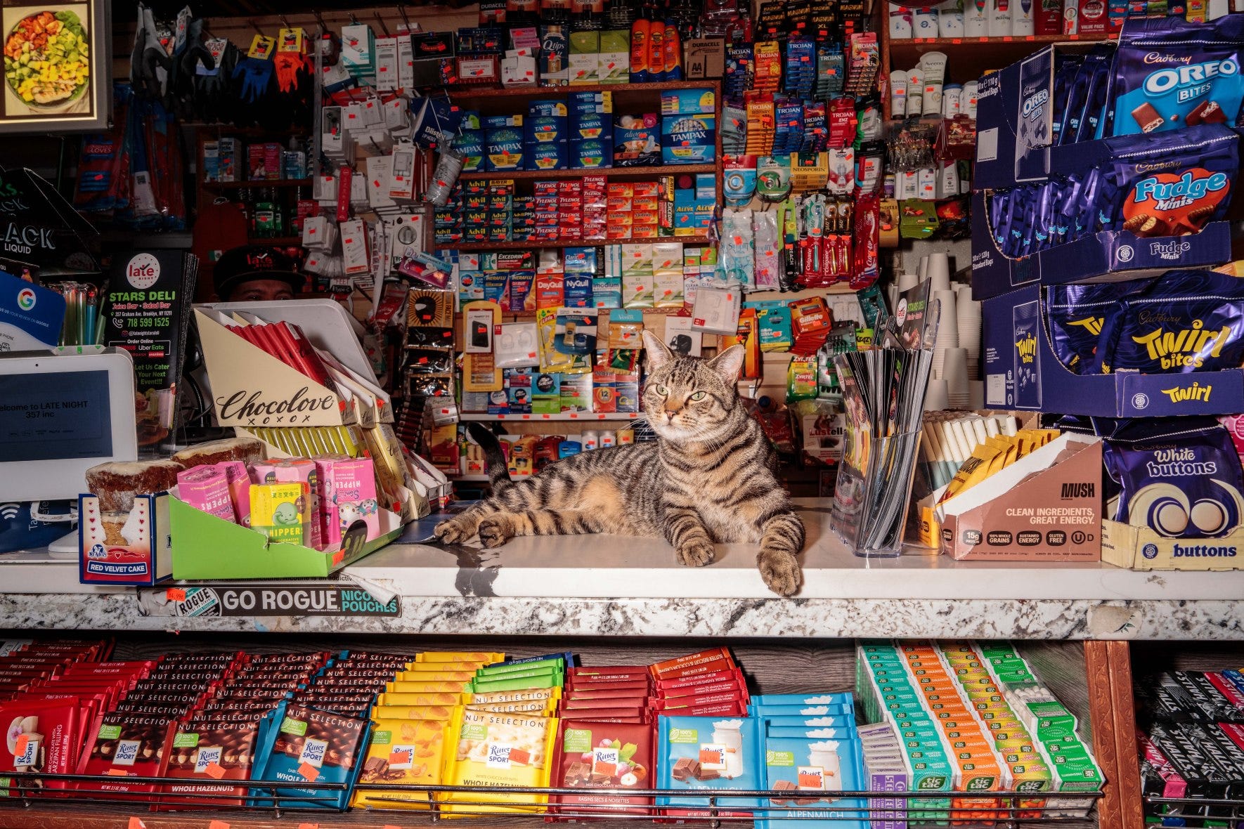 The Bodega Effect & The Generations Who Love them
