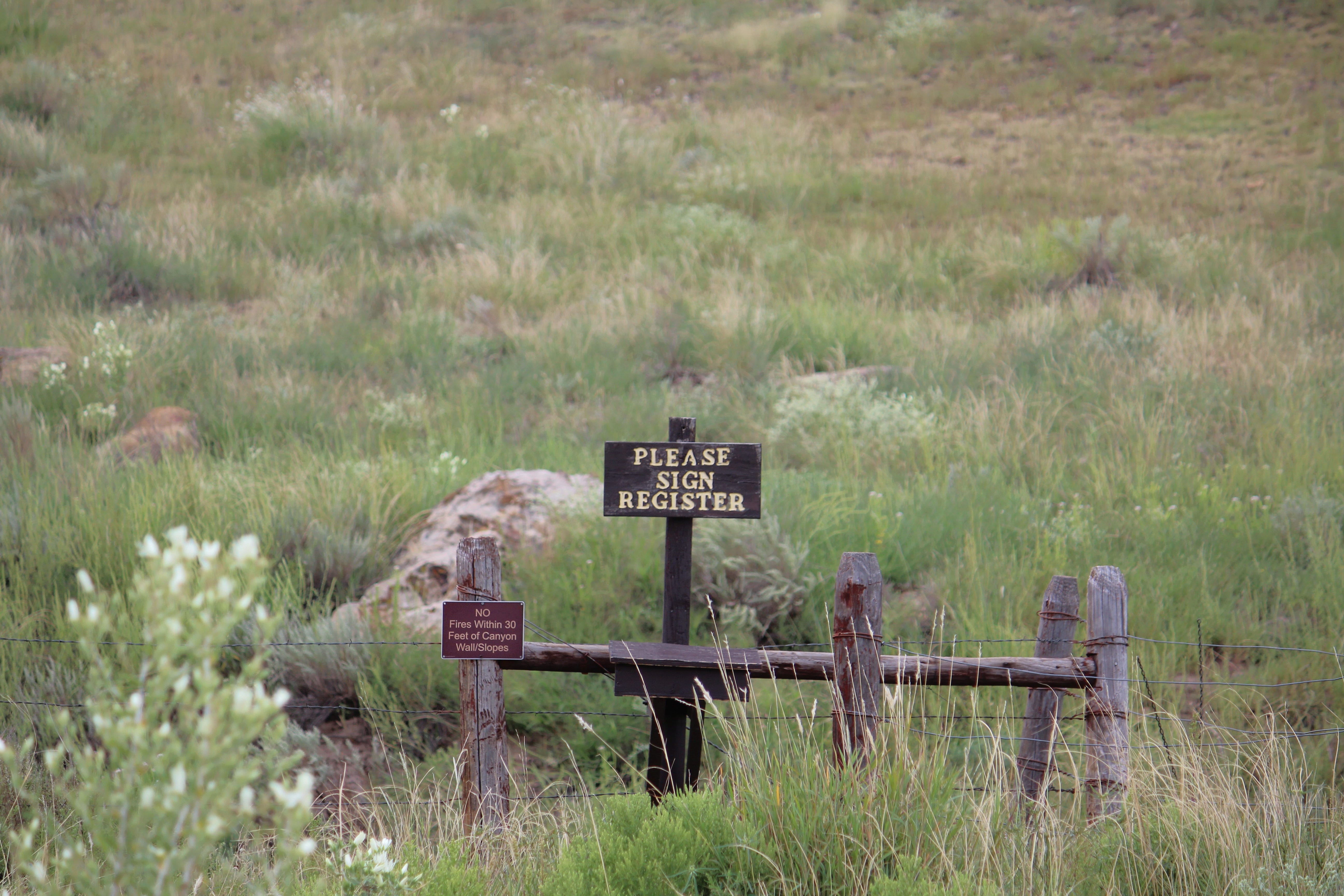 Trail Manners - by Cedar Sanderson - Cedar’s Substack