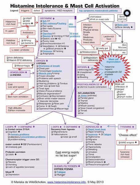 Mast Cell Activation Syndrome (MCAS) Protocol