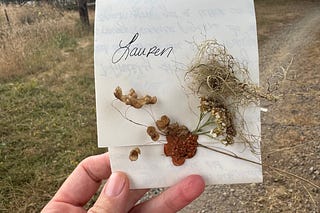 By Candlelight | Lacy Phillips | Substack