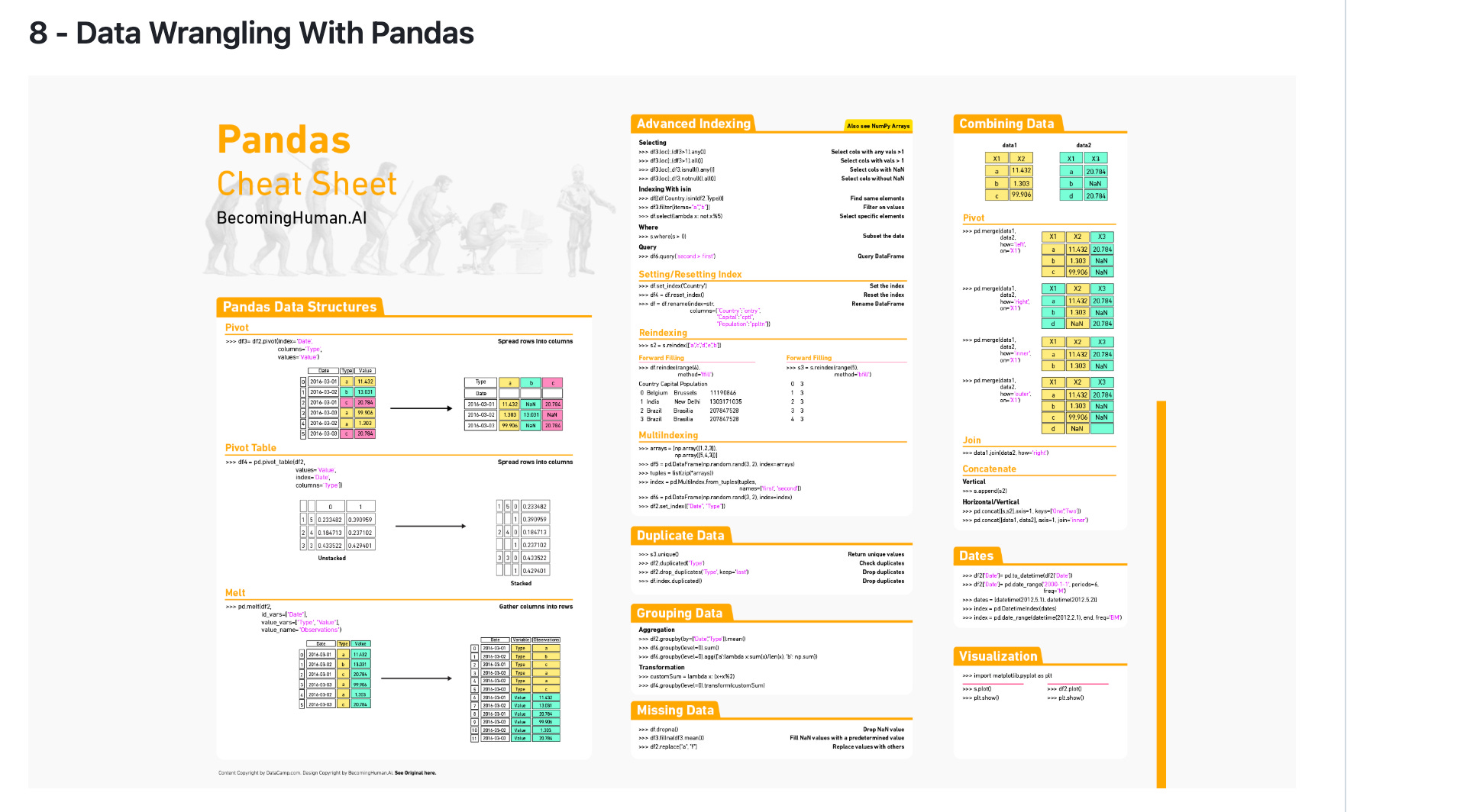 Data Science Roadmap from Google Data Scientist