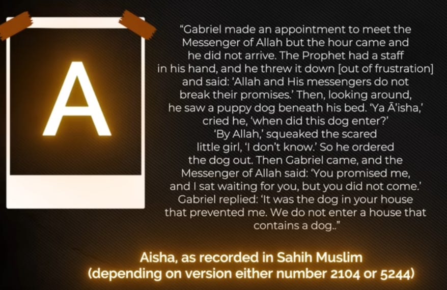 Why does Islam hate dogs?
