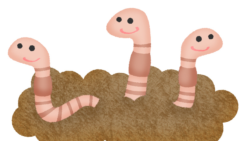 Happy… worm day!? - by Hiroko Yoda - Japan Happiness