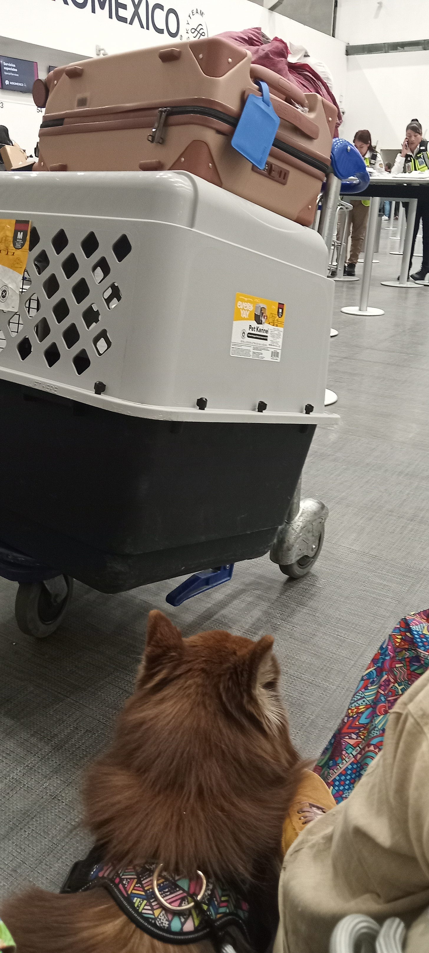 A Brief and Urgent Note - Carlita Shaw