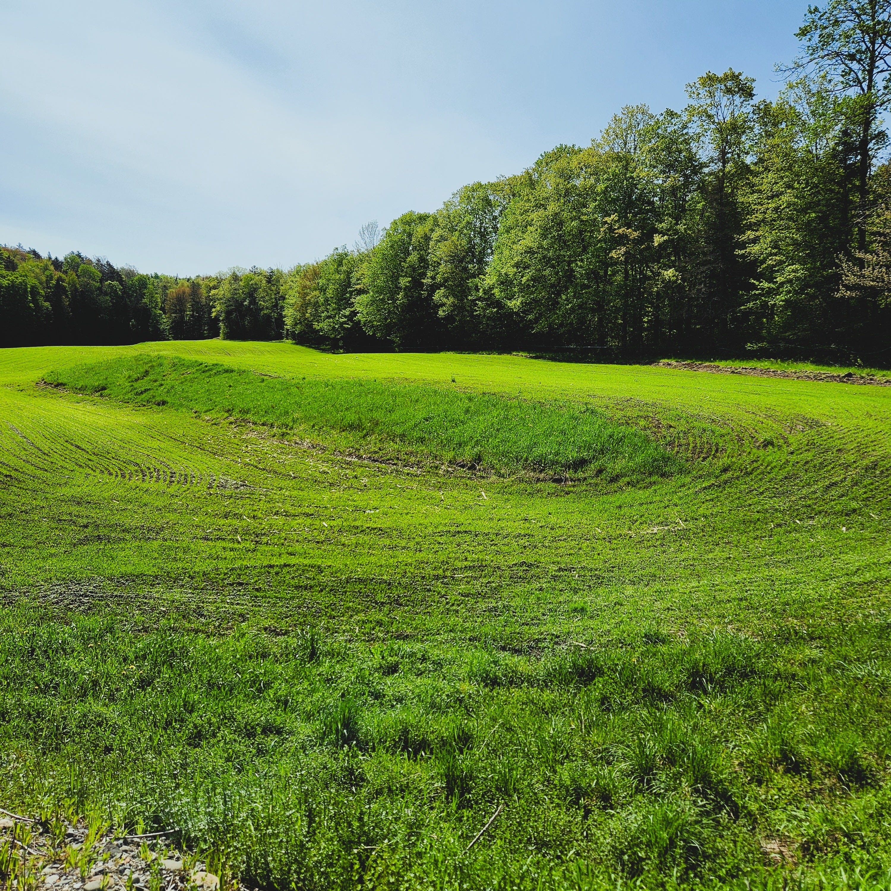 A Trip to Morningstar Farm - by Caroline Anders
