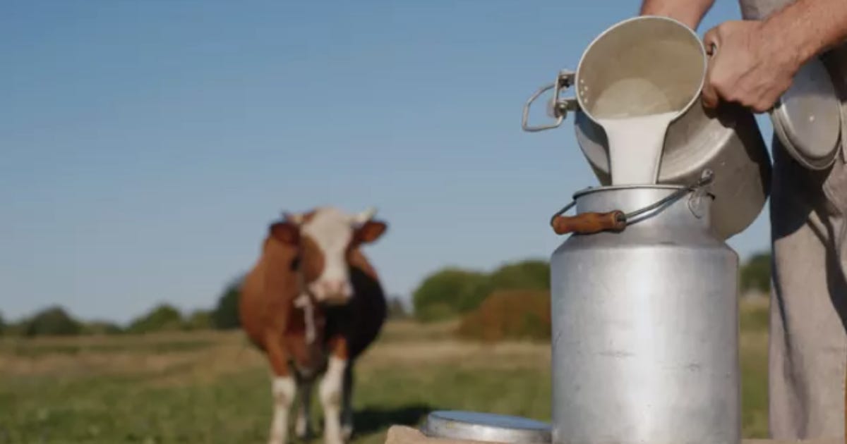 OP-ED: Dumping milk to protect supply management quotas is wasteful