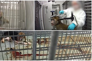 Archive - The World According to Fast Eddy