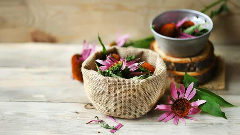 Natural Herbs That Support Your Immune System Against the Flu