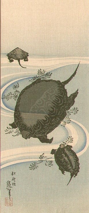 Turtles in Japanese Folklore and Culture