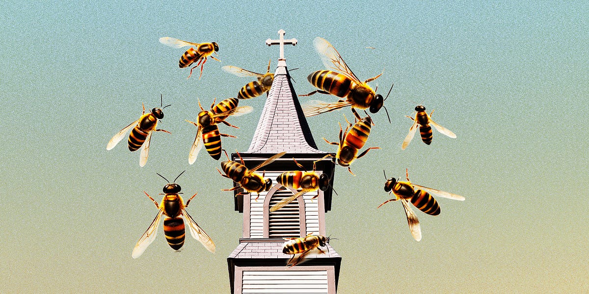 The Lessons of the WASPs - by Alec Dent - The Bulwark