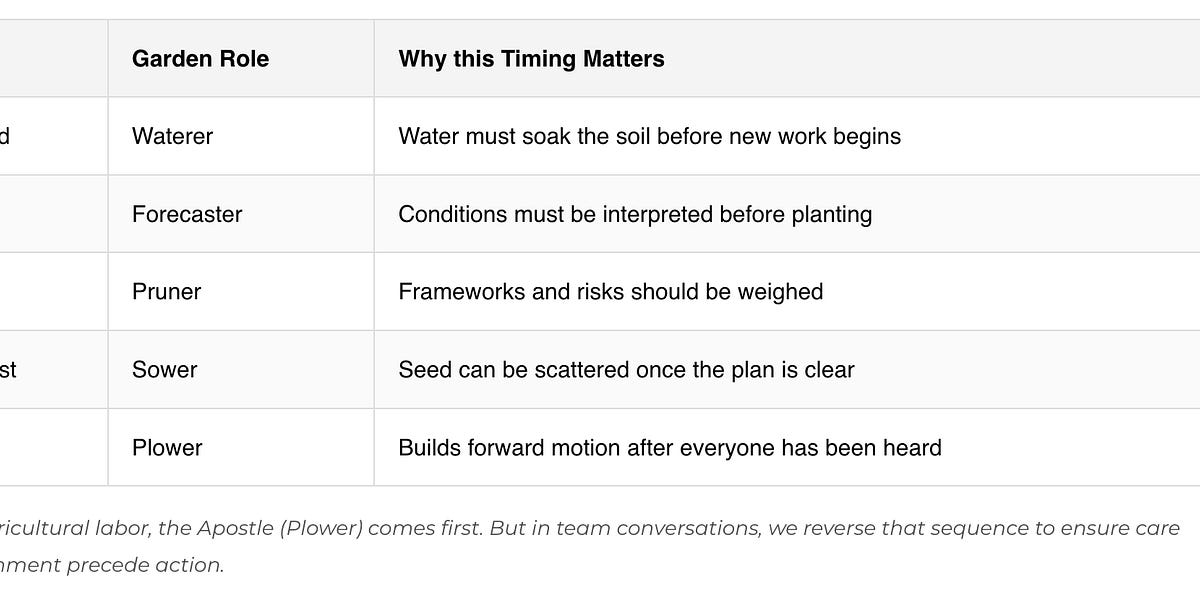 Tending the Team - StarfishyoU’s Substack