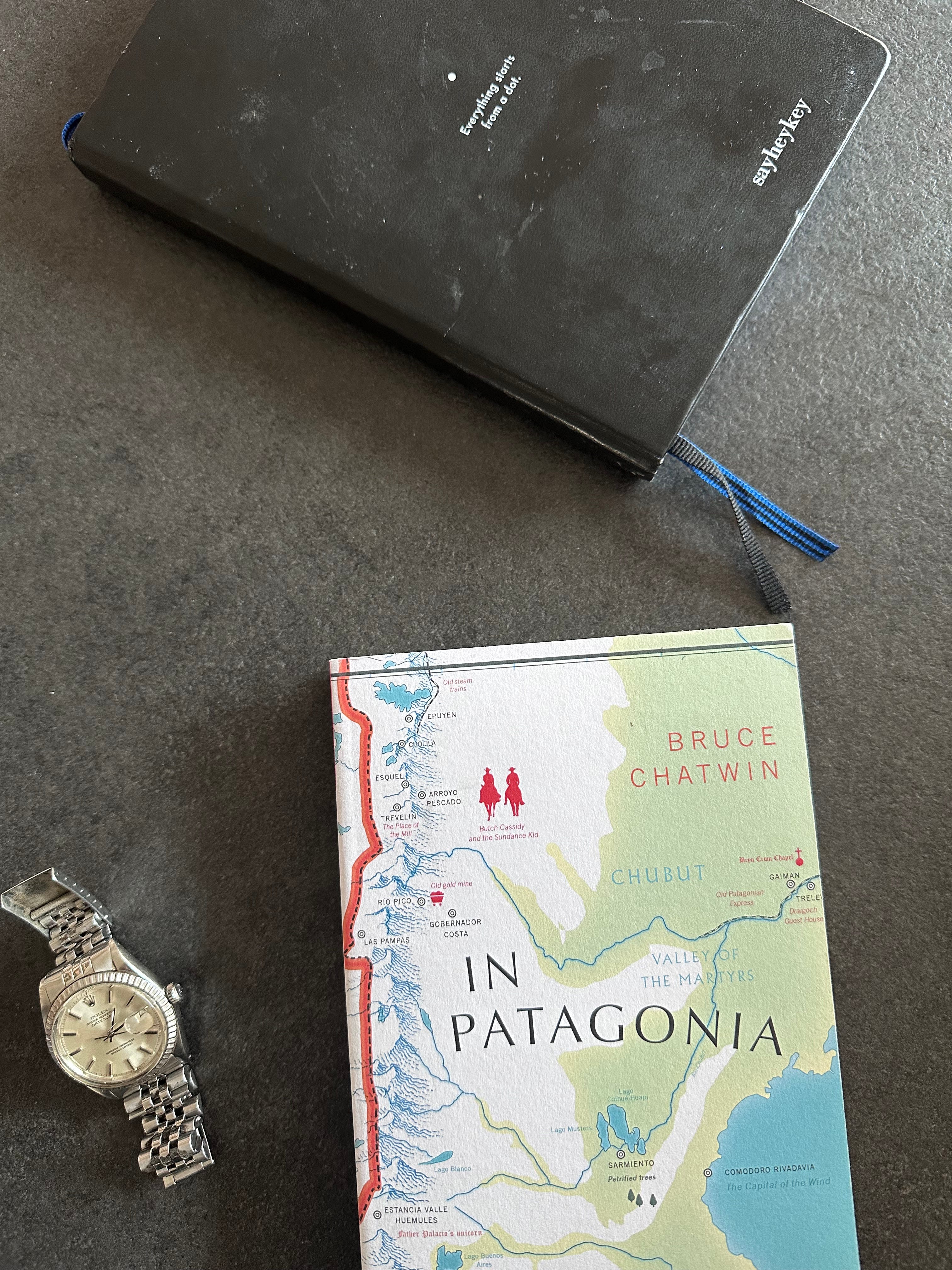 Reading "In Patagonia" in Patagonia - Stoned sapiens