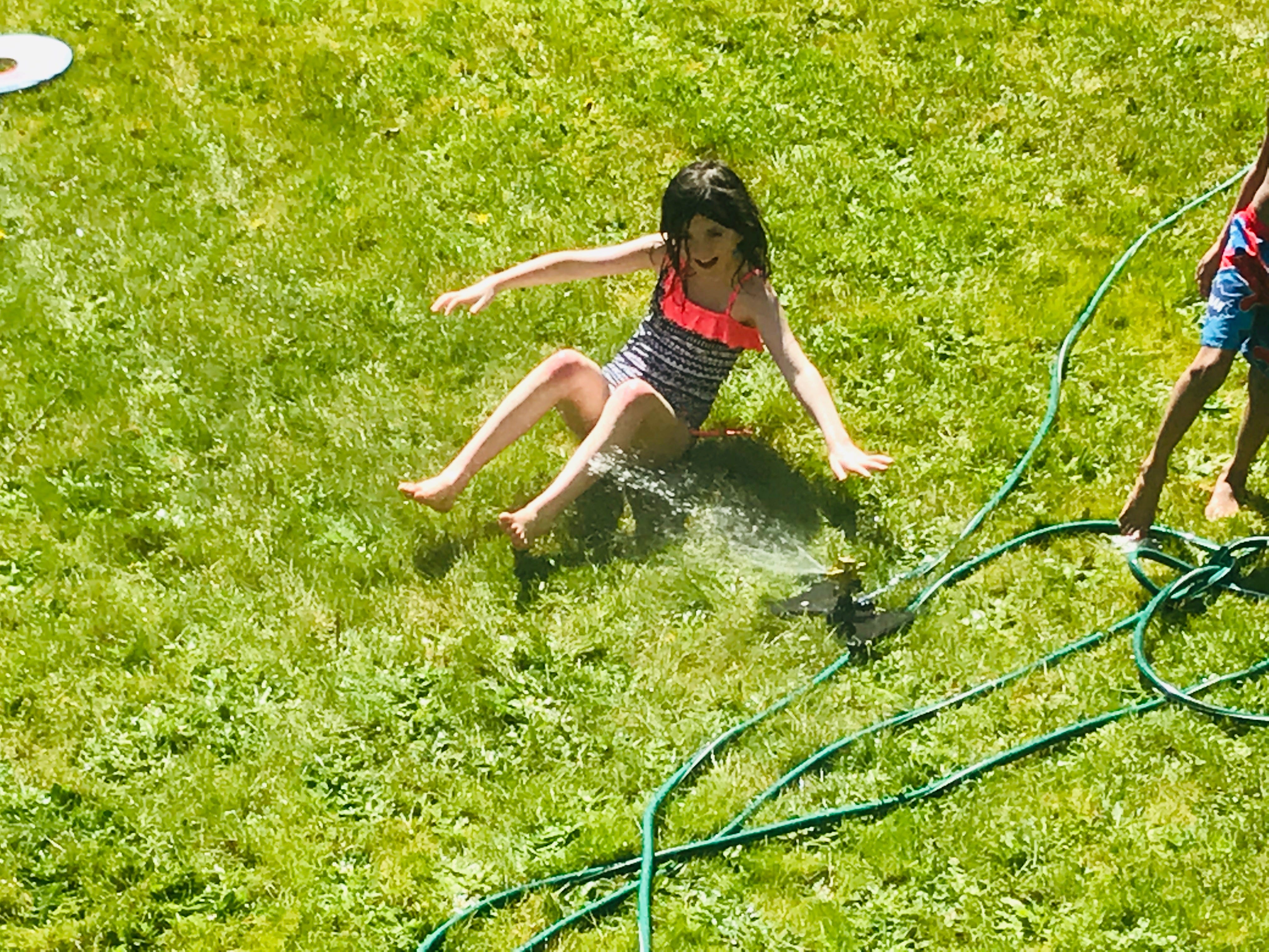 joy in learning - by Shauna James Ahern