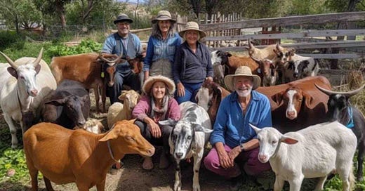 Coherent Reality | Jan Wellmann | Substack