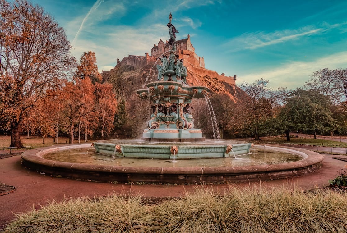 Can Edinburgh keep its million trees alive and healthy?