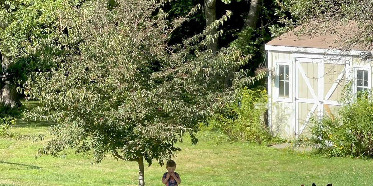 Why Sundays? - Greg Cello