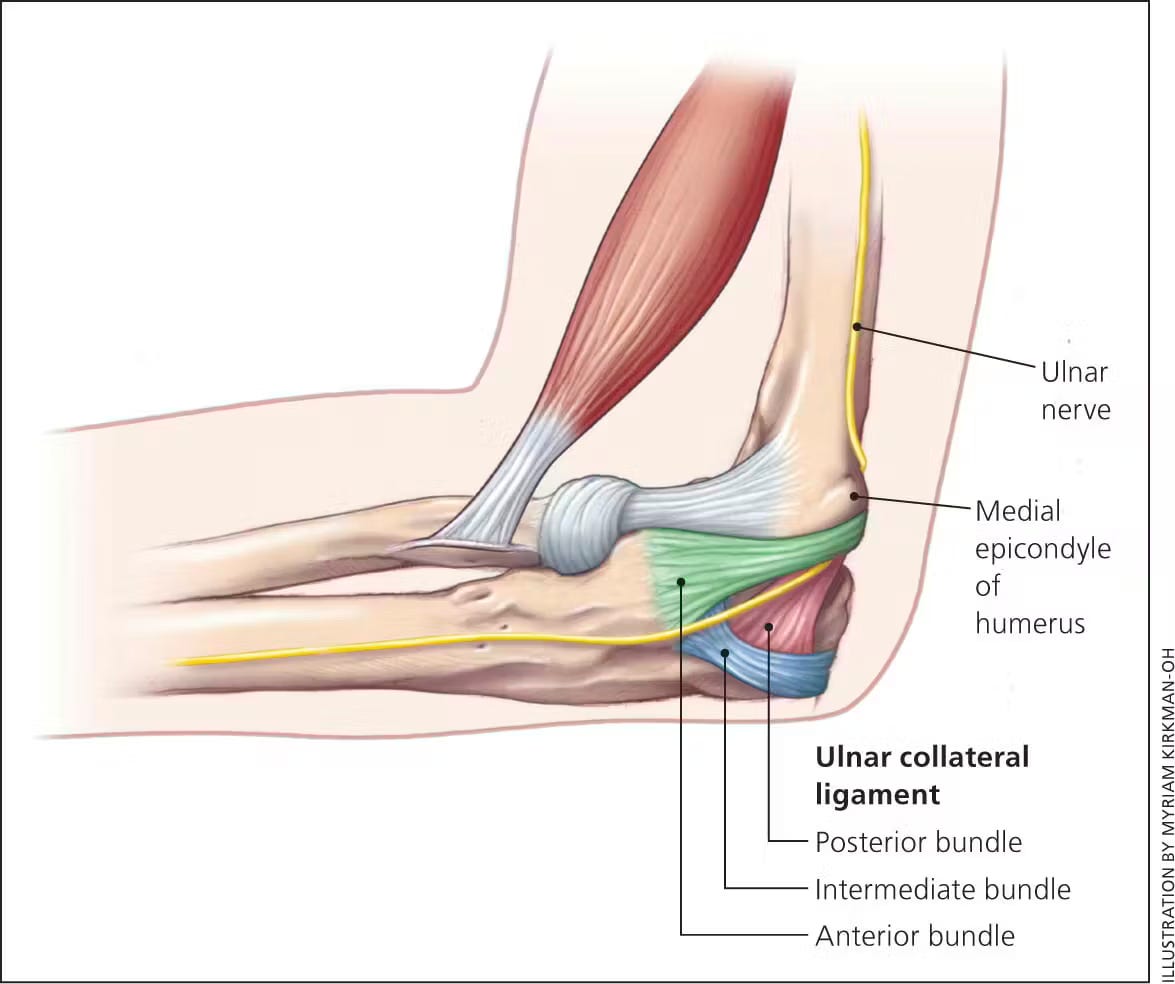 What inner-elbow pain during throwing usually means