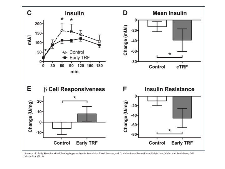 The Critical Importance of Time Restricted Feeding in Weight Loss