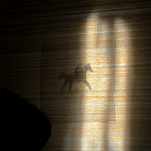 chasing shadows gif