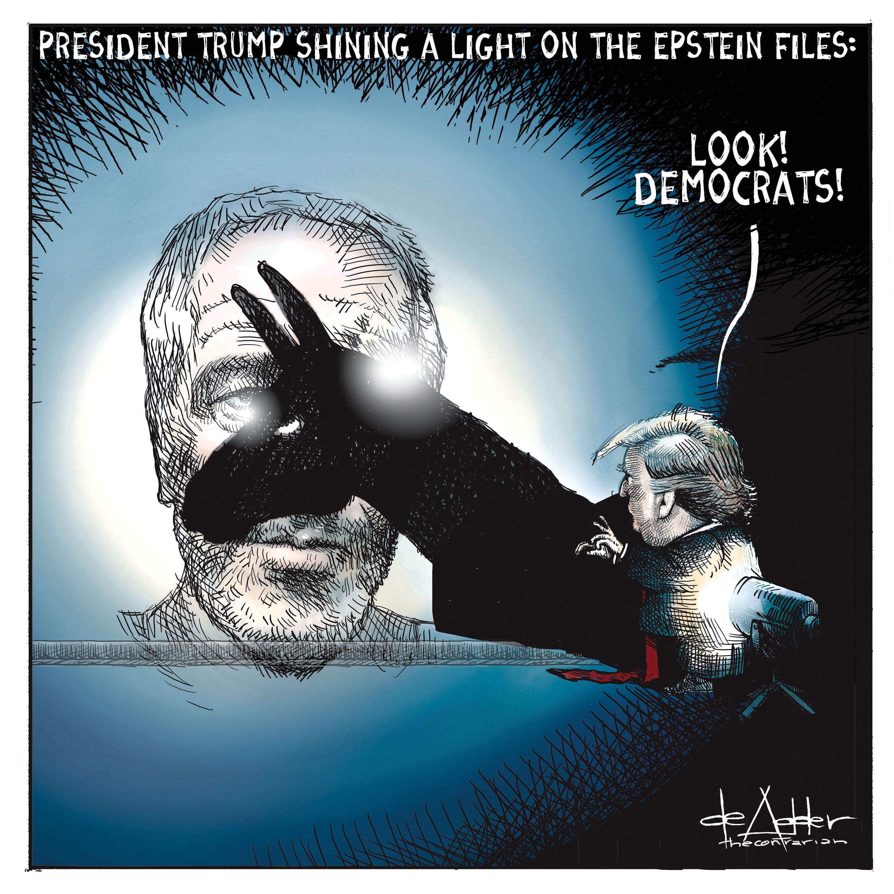 Shining a light - by Michael de Adder - The Contrarian