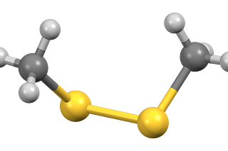 Liquid Bird | Substack
